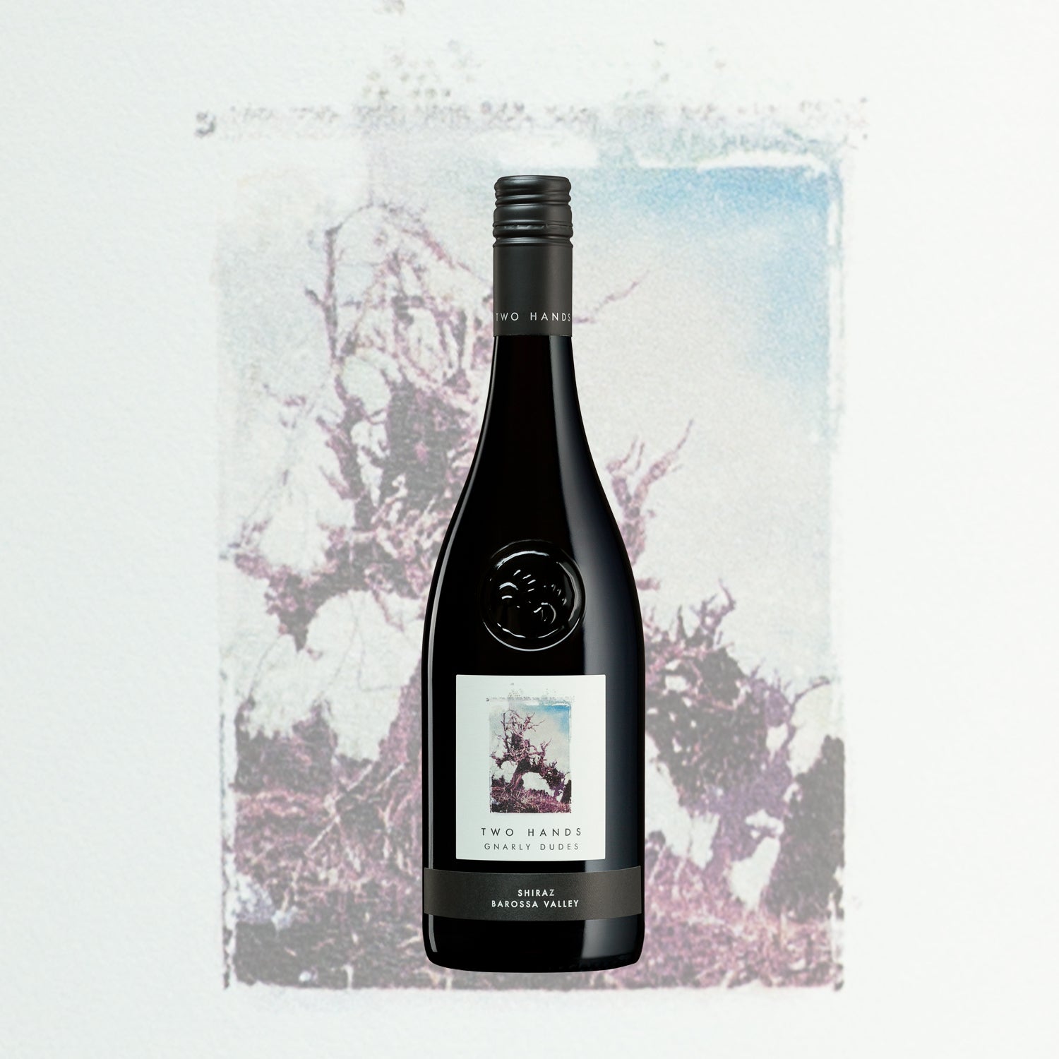 Two Hands 'Gnarly Dudes' Shiraz – PS.Cafe Online